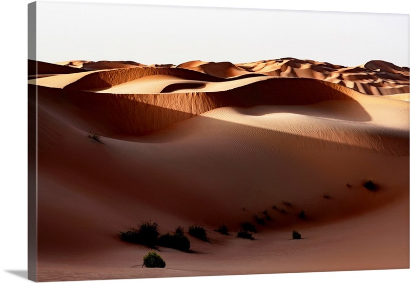 Wild Sand Dunes - Shadow Sunset | Great Big Canvas