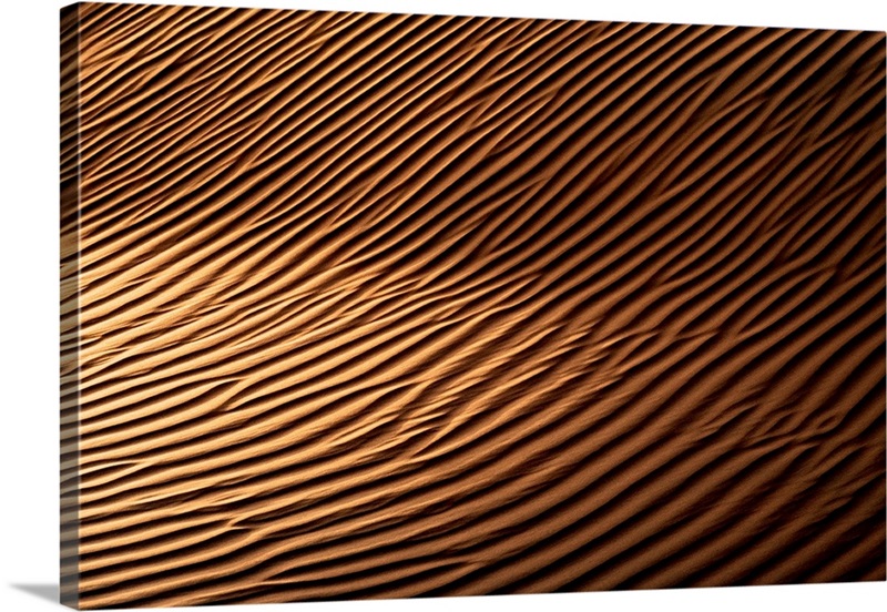 Wild Sand Dunes - Sunset Ripple | Great Big Canvas