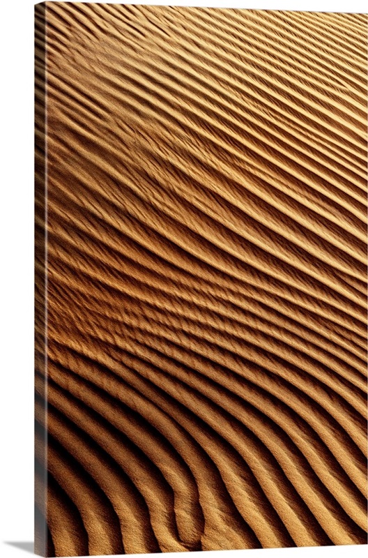 Wild Sand Dunes - Sunshine Ripple | Great Big Canvas