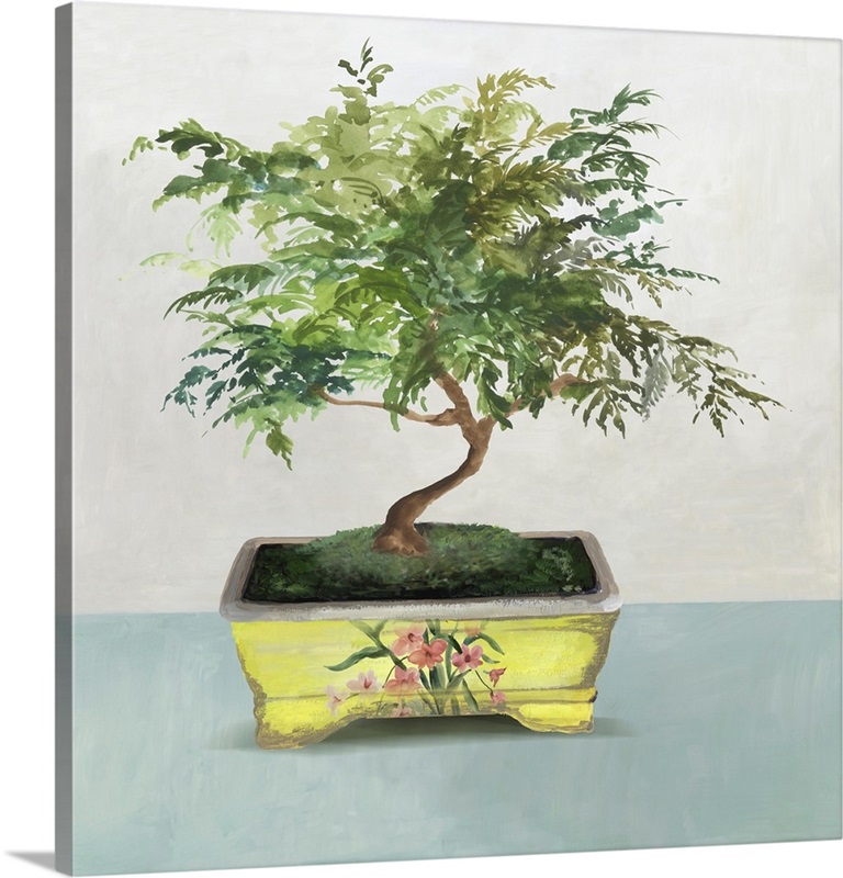 Bonsai Tree IV | Great Big Canvas