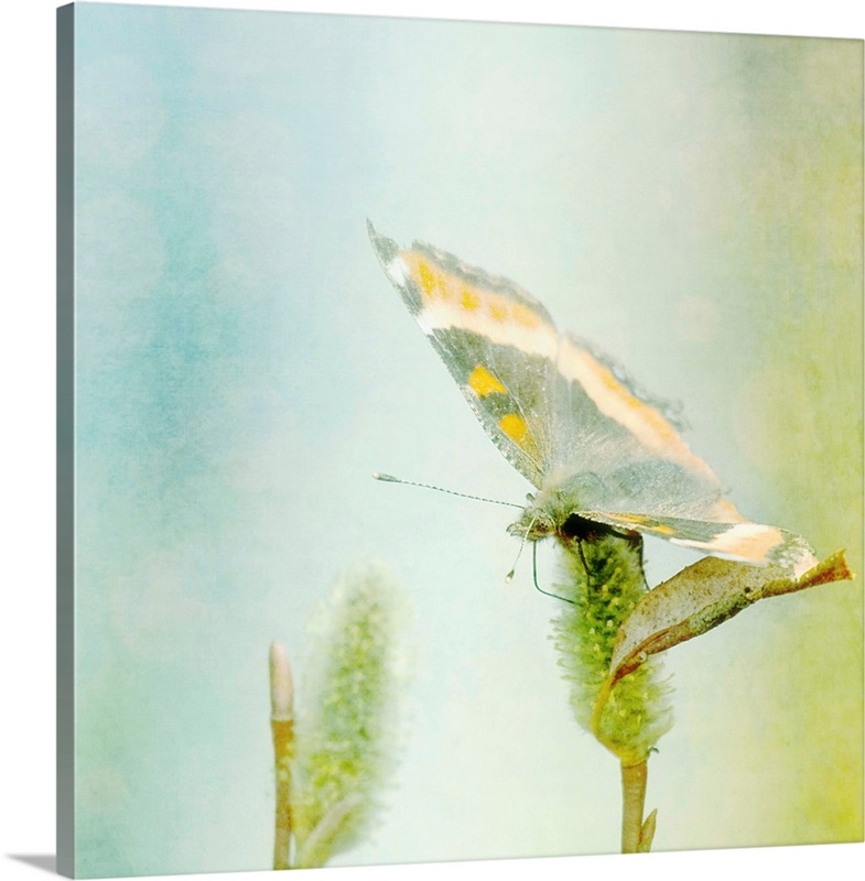 Country Afternoon | Great Big Canvas