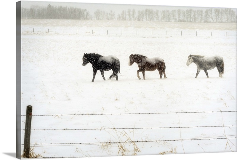 Posse | Great Big Canvas