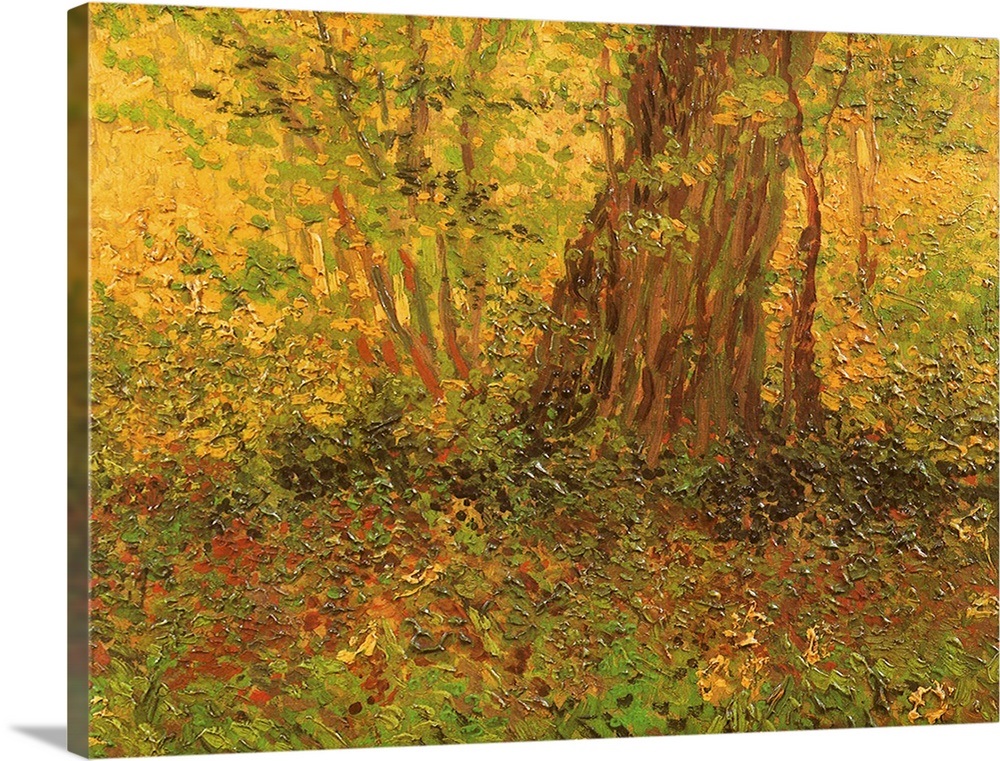 Dense Undergrowth Wall Art, Canvas Prints, Framed Prints, Wall Peels ...