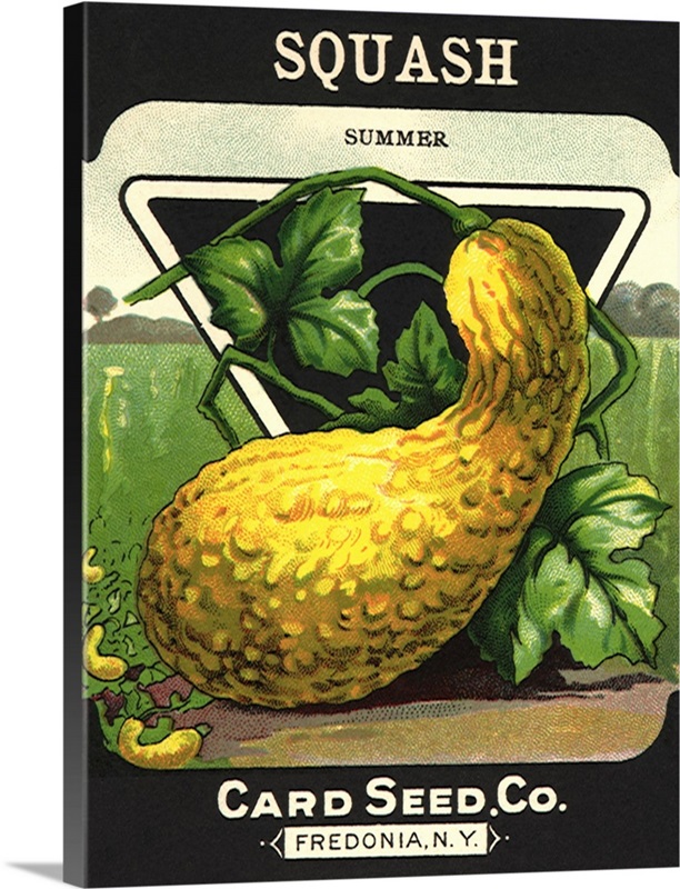 Squash Seed Packet | Great Big Canvas