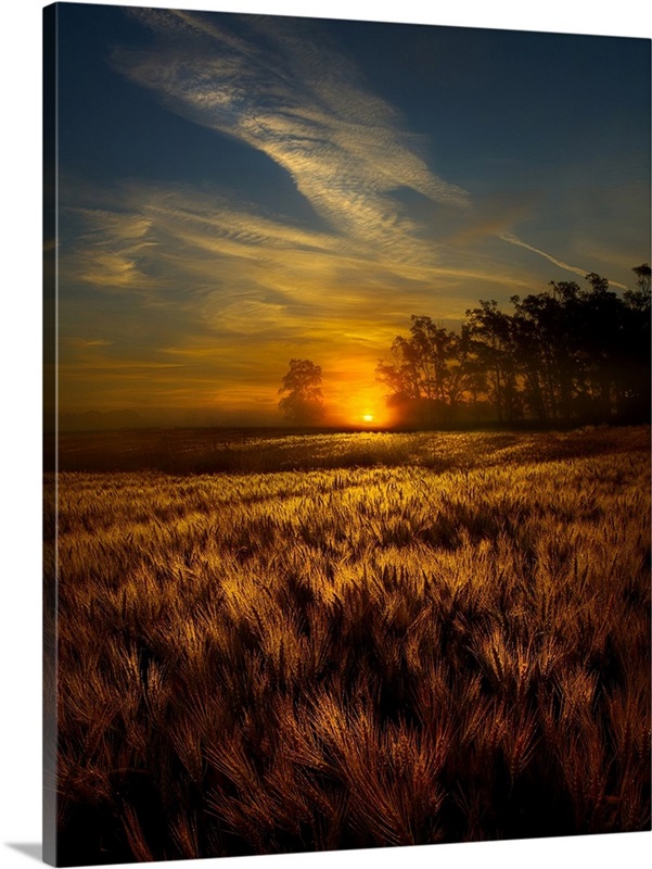 A Distance | Great Big Canvas