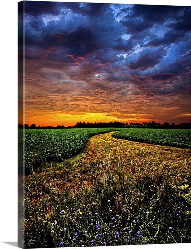 A Long Walk | Great Big Canvas