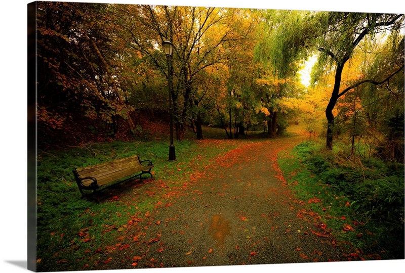 A Seat on a Path | Great Big Canvas