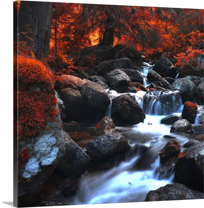 Bloody Autumn | Great Big Canvas