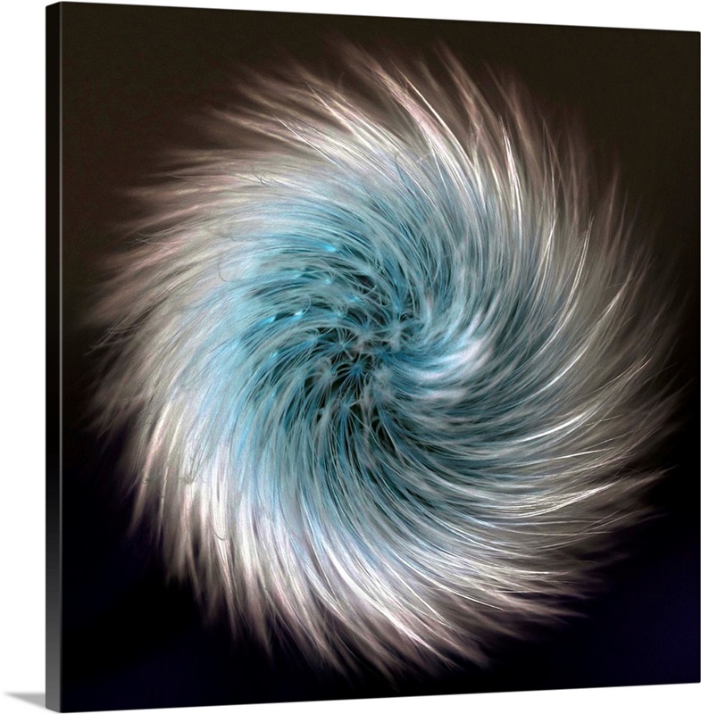 Circle Of Sunday | Great Big Canvas