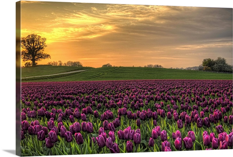 Colors | Great Big Canvas