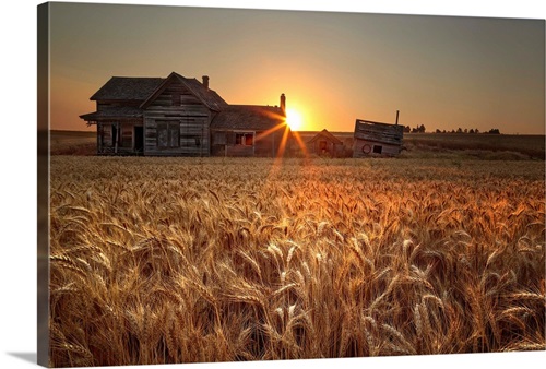 It's Harvest time | Great Big Canvas