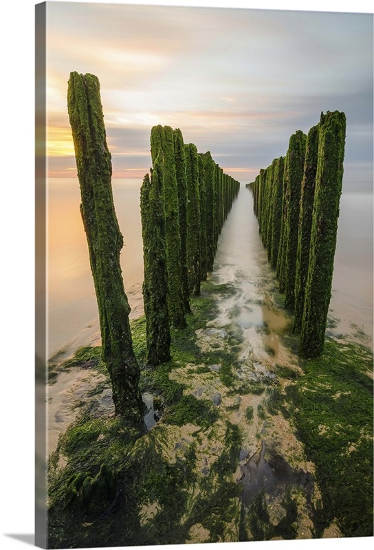 Path To The Horizon | Great Big Canvas