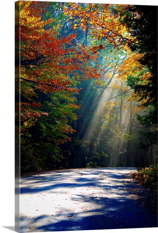 Sun Rays | Great Big Canvas