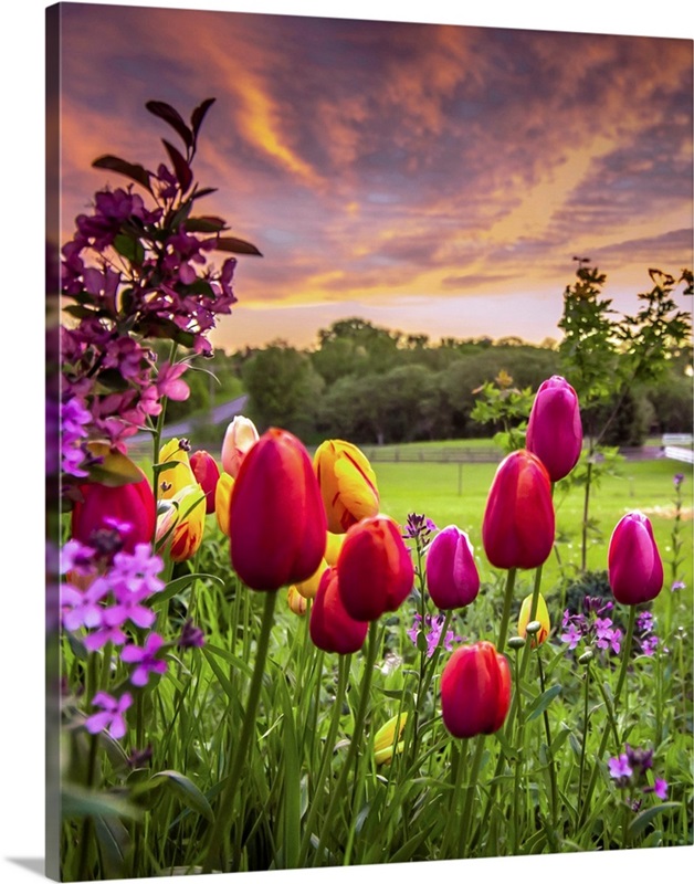 The Colors of Spring | Great Big Canvas