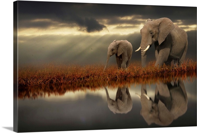 When Light Shows the Way | Great Big Canvas