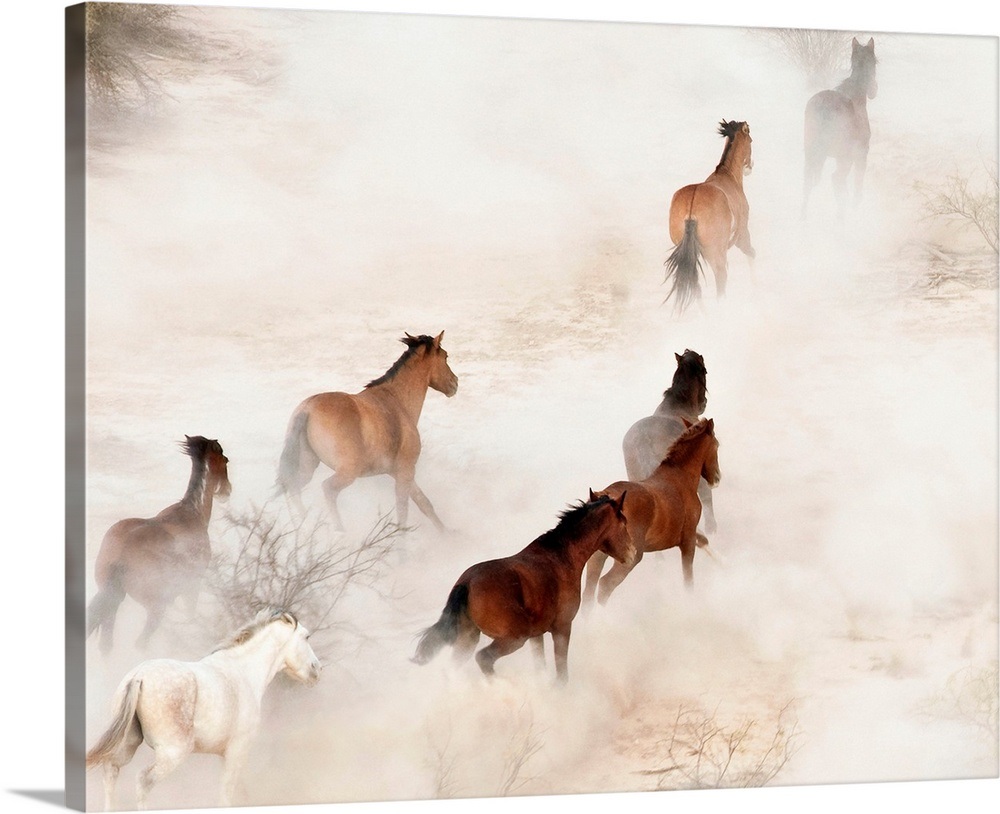 Wild Mustangs 1 Wall Art, Canvas Prints, Framed Prints, Wall Peels ...