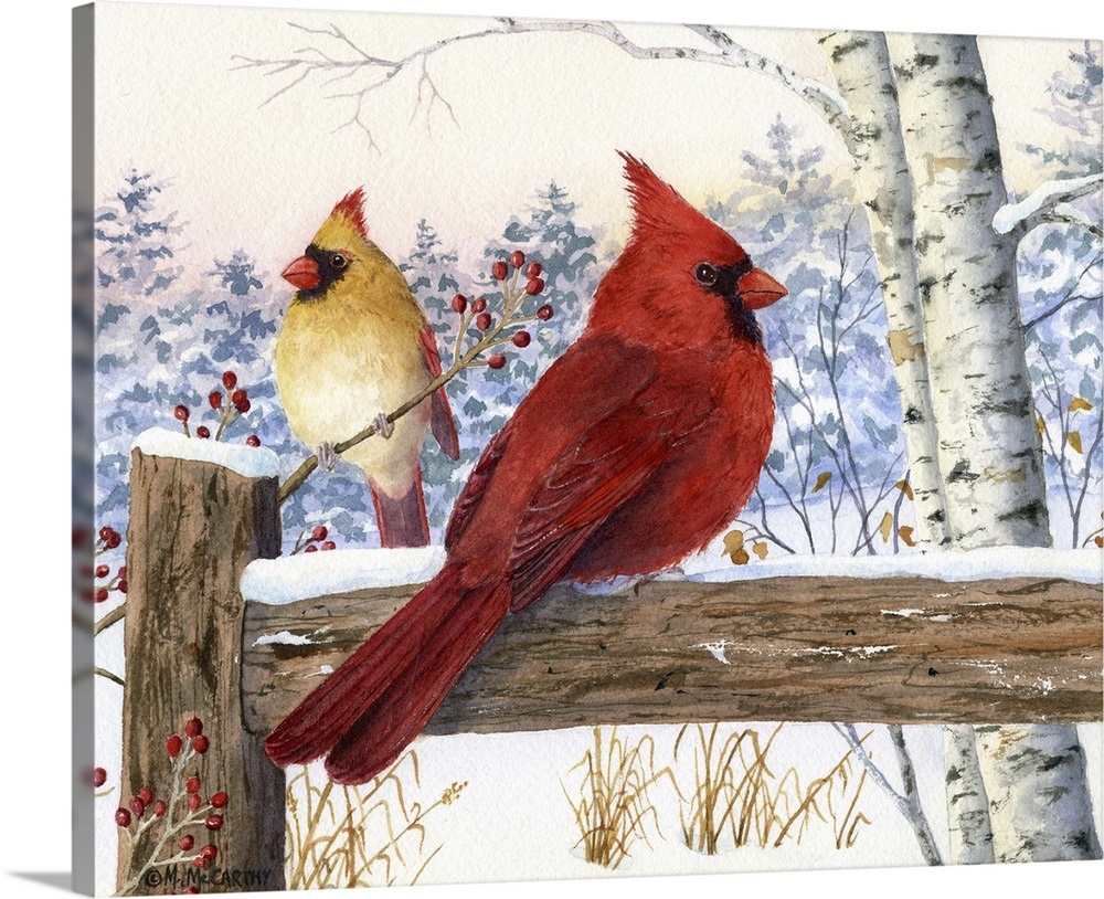 Cardinal pair with birch Wall Art, Canvas Prints, Framed Prints, Wall ...