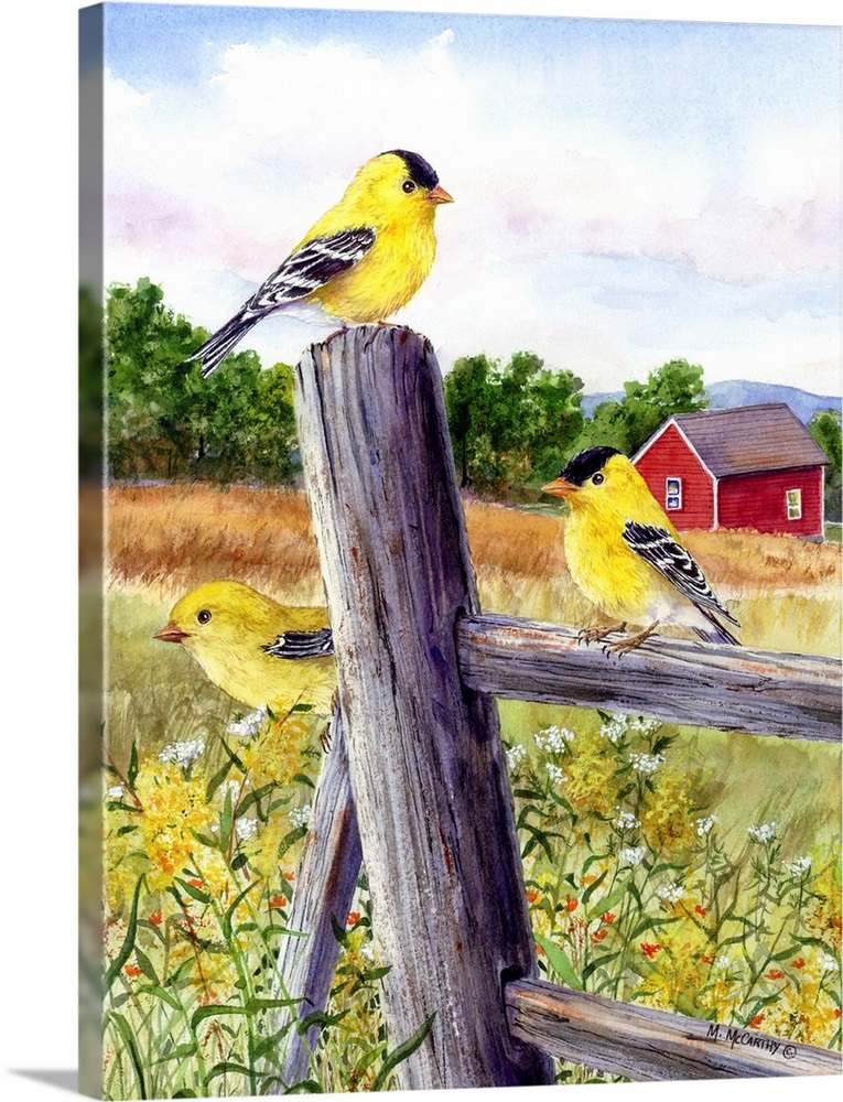 Goldfinch Wall Art, Canvas Prints, Framed Prints, Wall Peels | Great ...