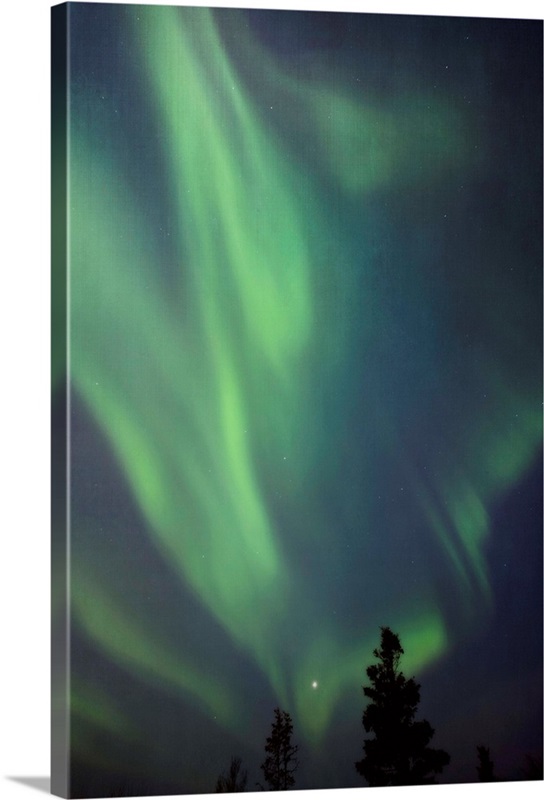 Chasing Lights II | Great Big Canvas