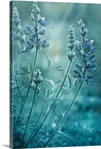 Fresh Summer Morning Wall Art, Canvas Prints, Framed Prints, Wall Peels ...