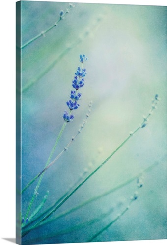 Laggard | Great Big Canvas