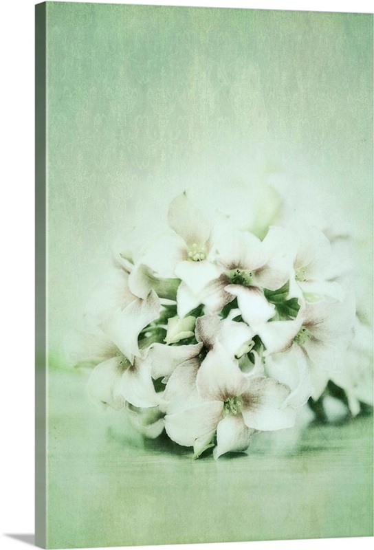 Mint Green | Great Big Canvas