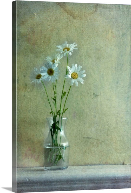 Simply Daisies | Great Big Canvas