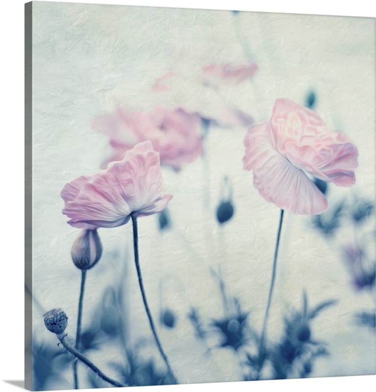 Subdued Wall Art, Canvas Prints, Framed Prints, Wall Peels | Great Big ...