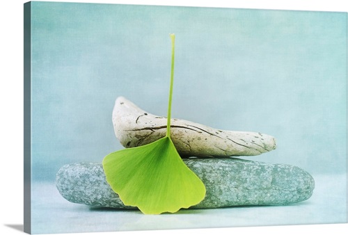 Wood, Stone And A Gingko Leaf | Great Big Canvas