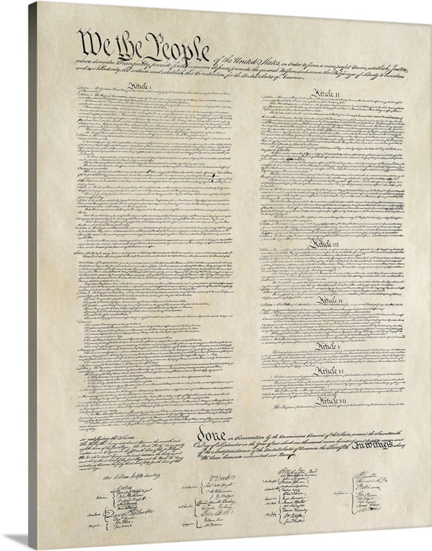 Constitution Document - Articles 1-7 | Great Big Canvas