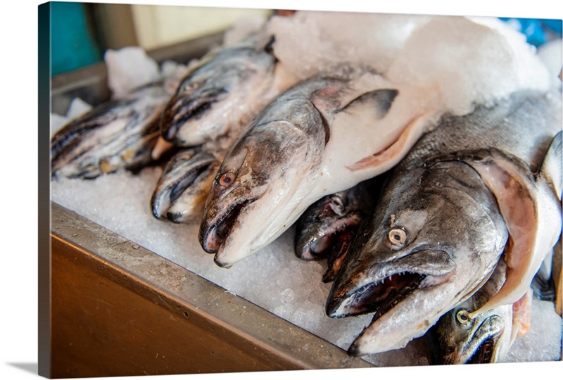Fish At Farmer's Market In Seattle, Washington | Great Big Canvas