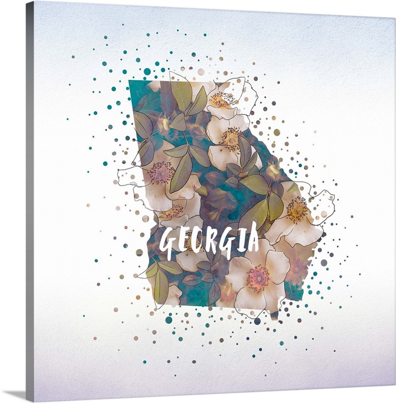 Georgia State Flower (Cherokee Rose) | Great Big Canvas