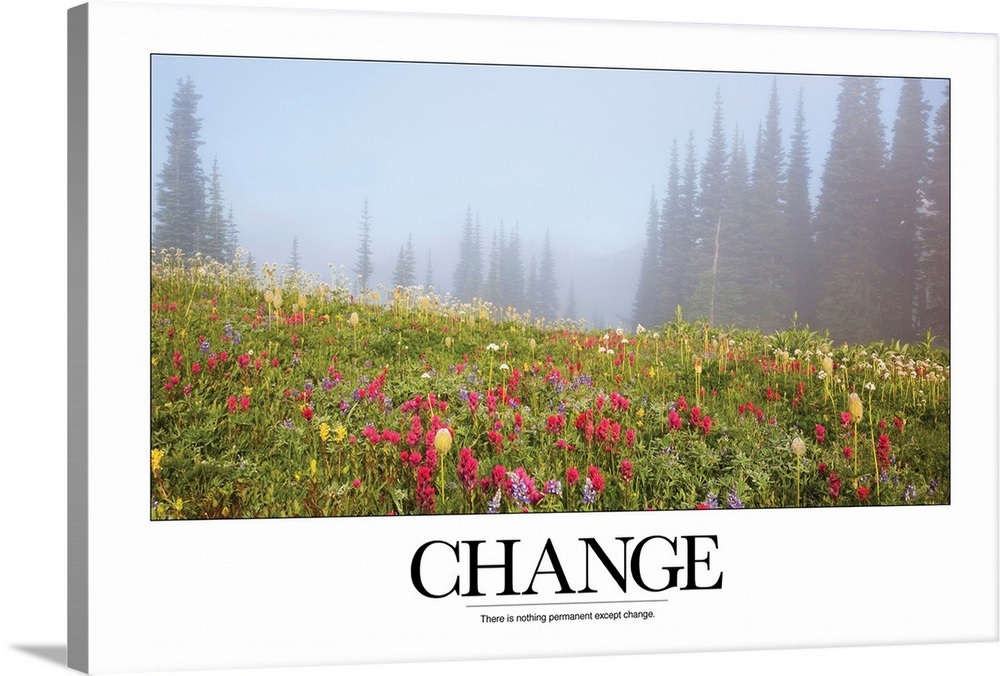 Inspirational Motivational Poster: There is nothing permanent except ...