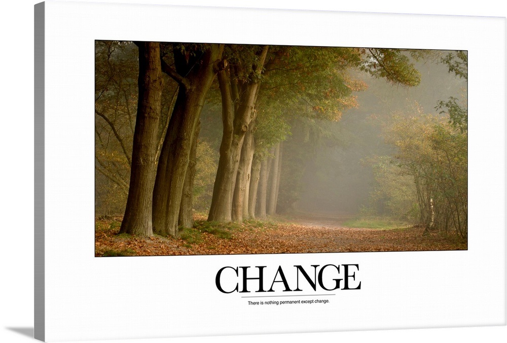 Inspirational Motivational Poster: There is nothing permanent except ...