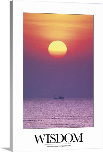 Inspirational Motivational Poster: Wisdom comes to the inquisitive mind ...