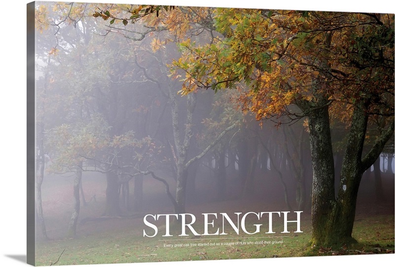 Inspirational Poster: Every great oak tree started out as a couple of ...