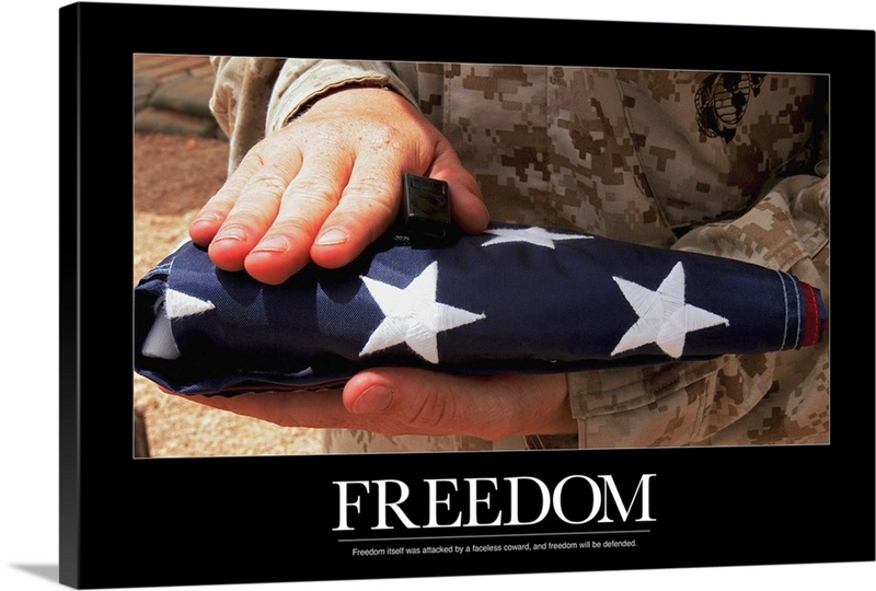 Military Motivational Poster: Freedom | Great Big Canvas