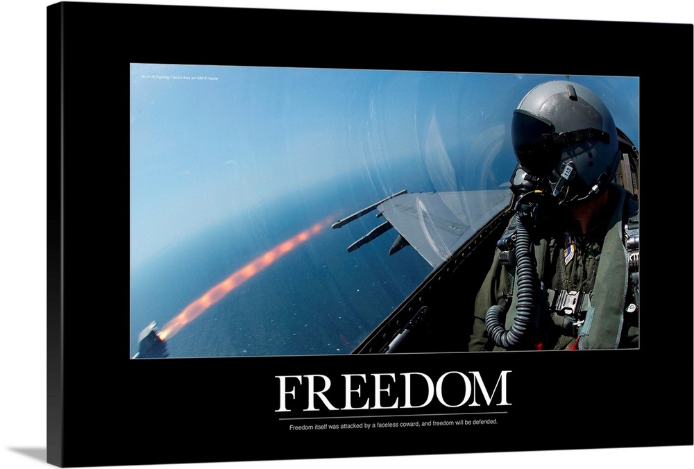 Military Motivational Poster: Freedom Will Be Defended Wall Art, Canvas ...