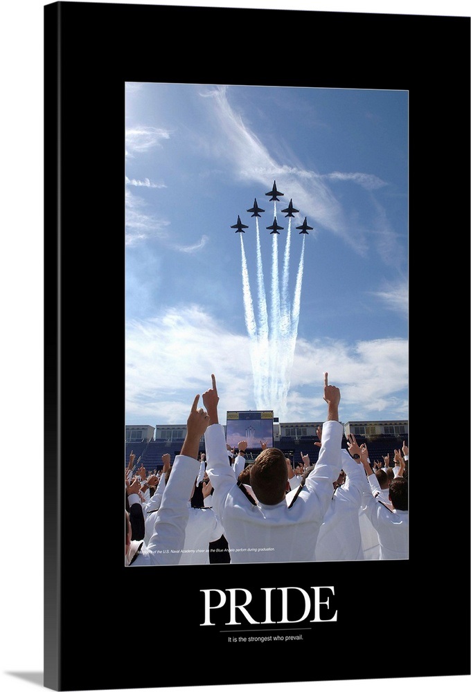 Navy Poster: Pride Wall Art, Canvas Prints, Framed Prints, Wall Peels ...