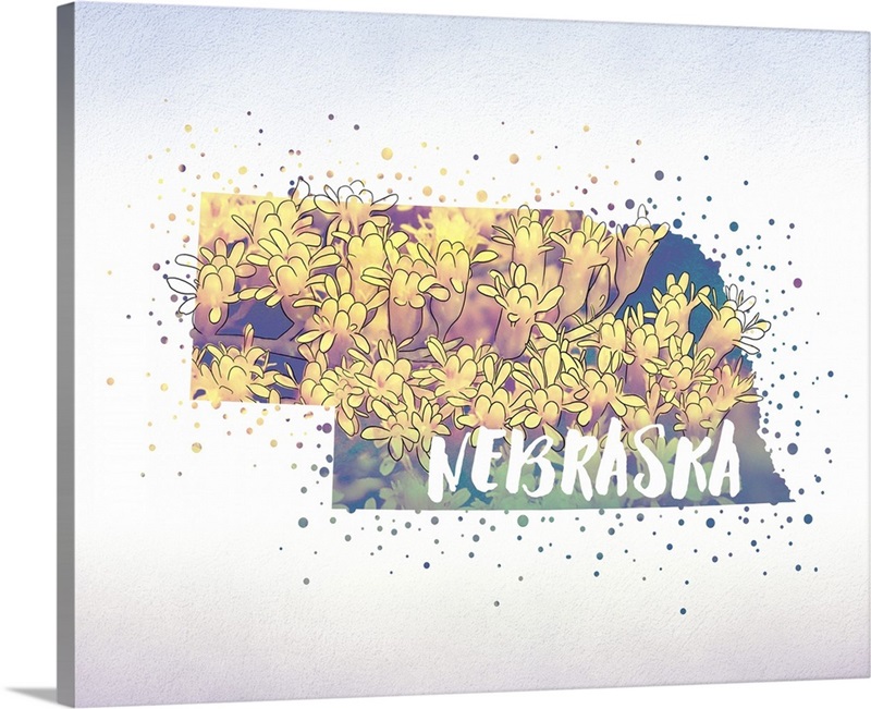 Nebraska State Flower (Goldenrod) | Great Big Canvas
