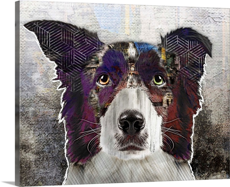 Pop Art - Border Collie | Great Big Canvas