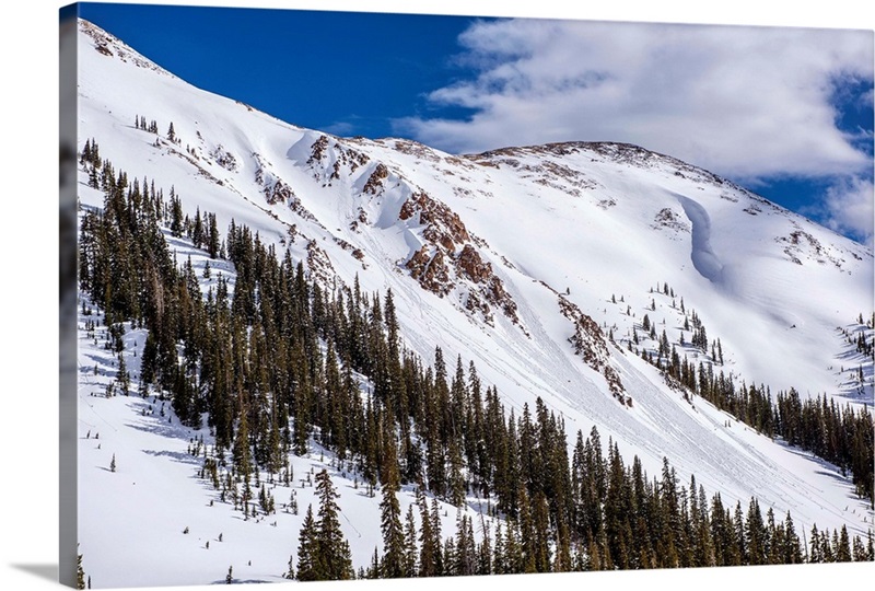 Snowy Mountainside in Colorado | Great Big Canvas