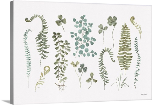 Fern Study 01 | Great Big Canvas