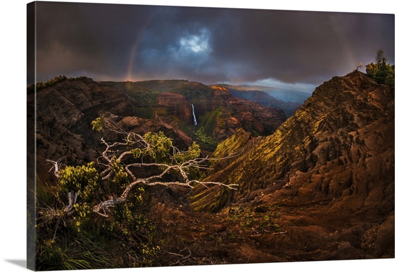 An Acacia Koa Tree Over The Waimea Canyon And Rainbow Over Waipo'o ...