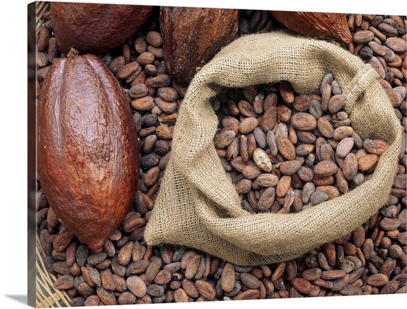 Cocoa | Great Big Canvas