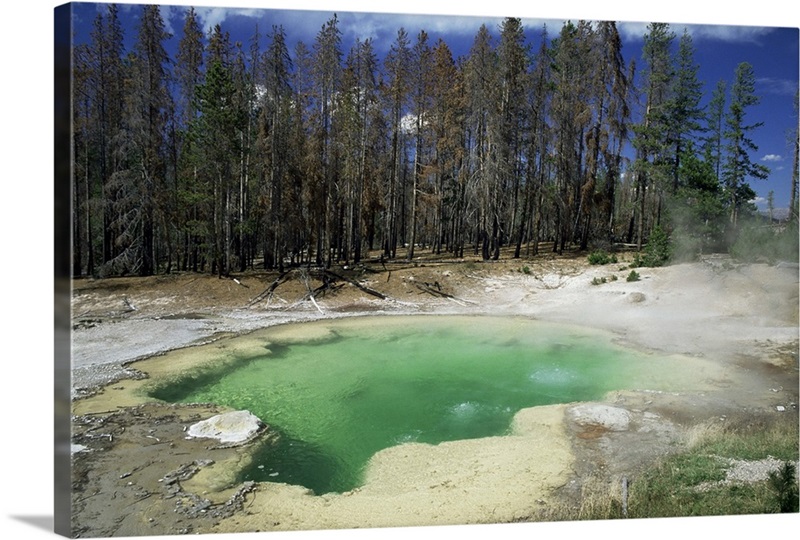 Emerald Spring, Yellowstone National Park, Wyoming | Great Big Canvas