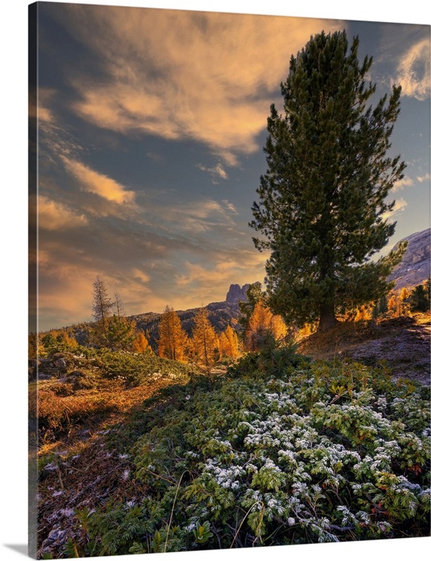 Italy, Veneto, Dolomites, Falzarego Pass, Nuvolau In Autumn | Great Big ...