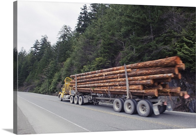Logging truck in MacMillan Provincial Park, British Columbia, Canada ...