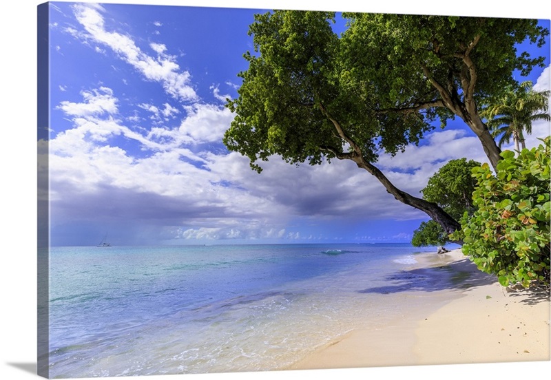 Paynes Bay, Barbados, Windward Islands, West Indies, Caribbean, Central ...