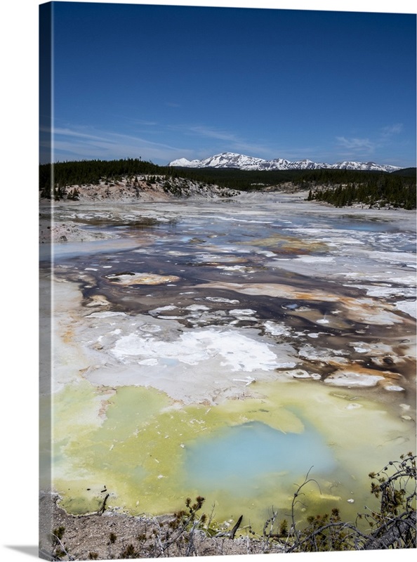 Porcelain Springs In The Norris Geyser Basin, Yellowstone National Park ...